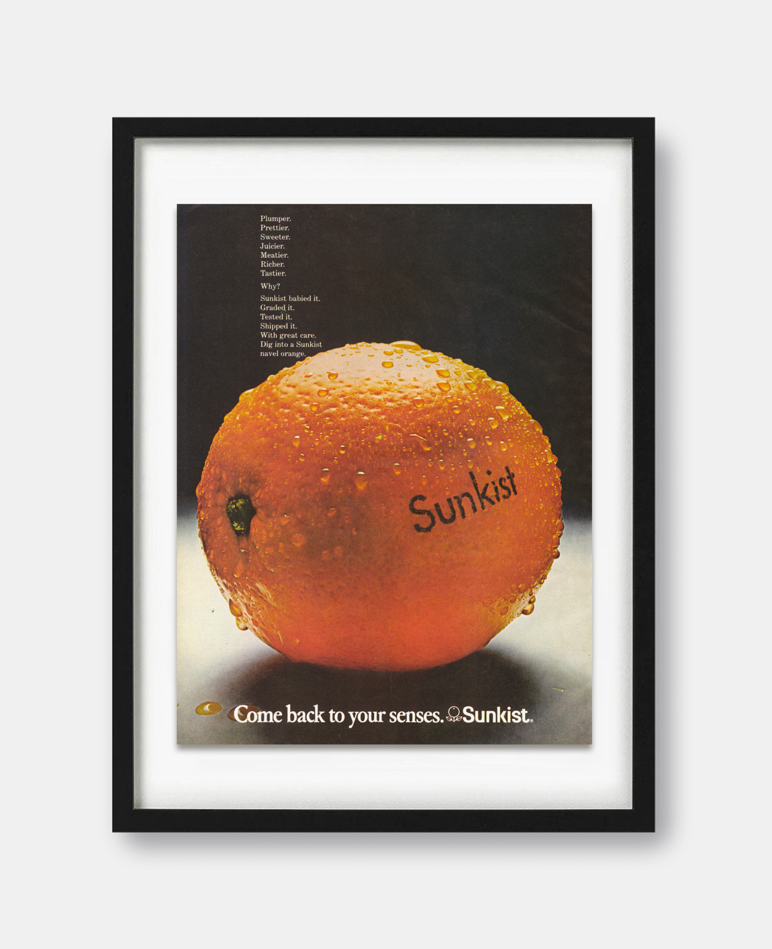 SUNKIST ‘Come back to your senses & Sunkist’ 1960s Magazine Ad Print ...